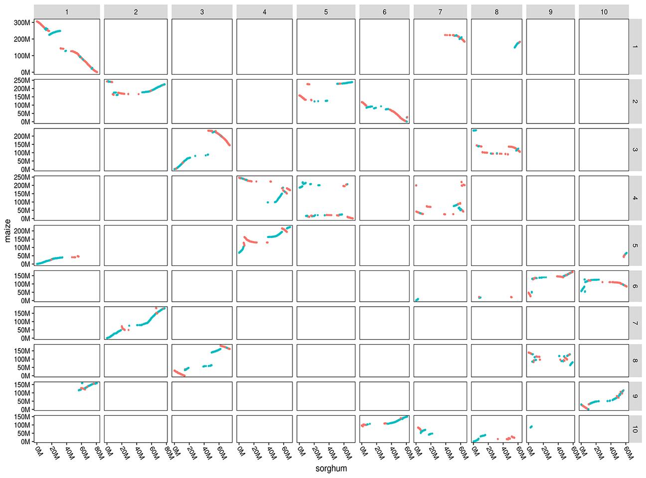 Applying AnchorWave to Address Plant Genome Alignment