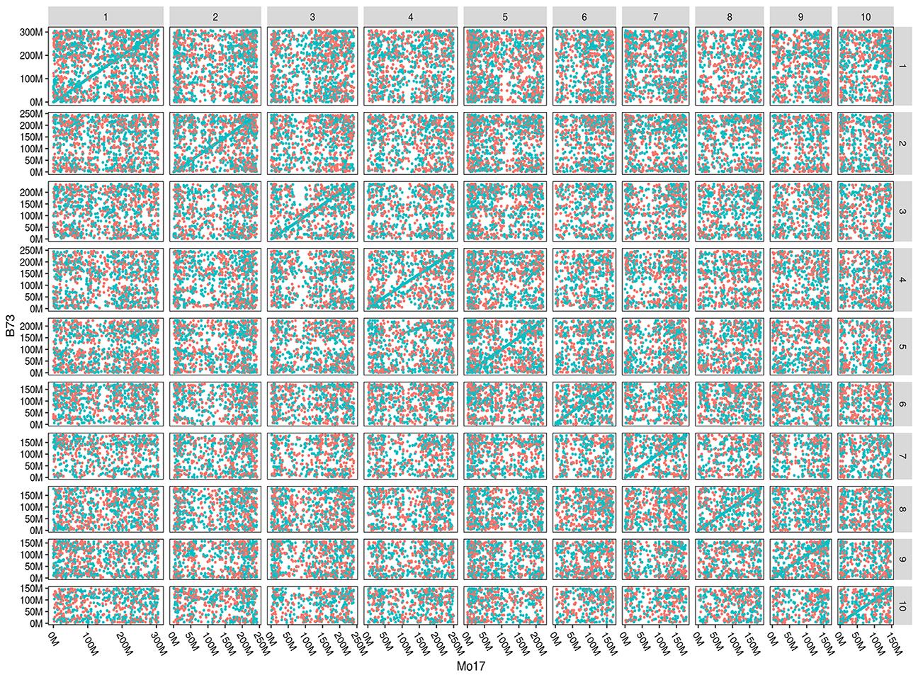 Applying AnchorWave to Address Plant Genome Alignment