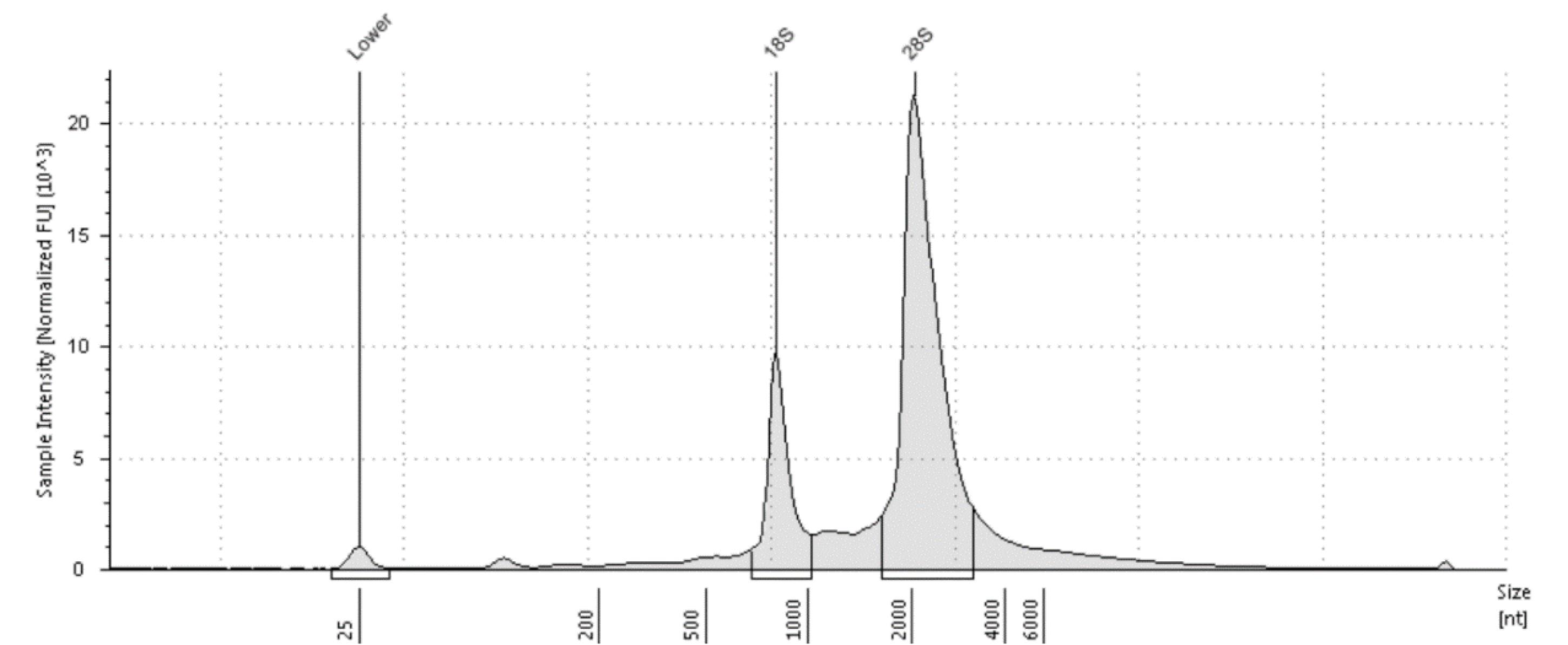 High-Resolution Mapping of RNA–RNA Interactions Across the HIV-1 Genome ...