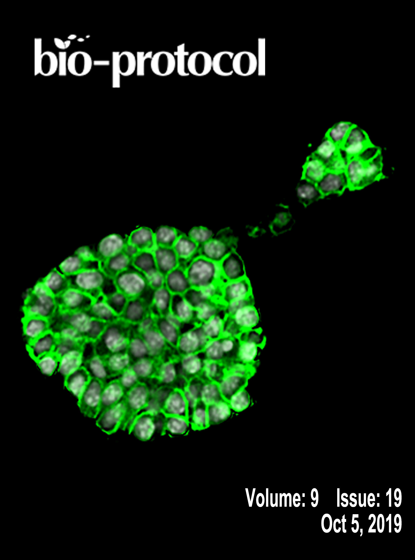 Volume: 9 Issue: 19 —BIO-PROTOCOL