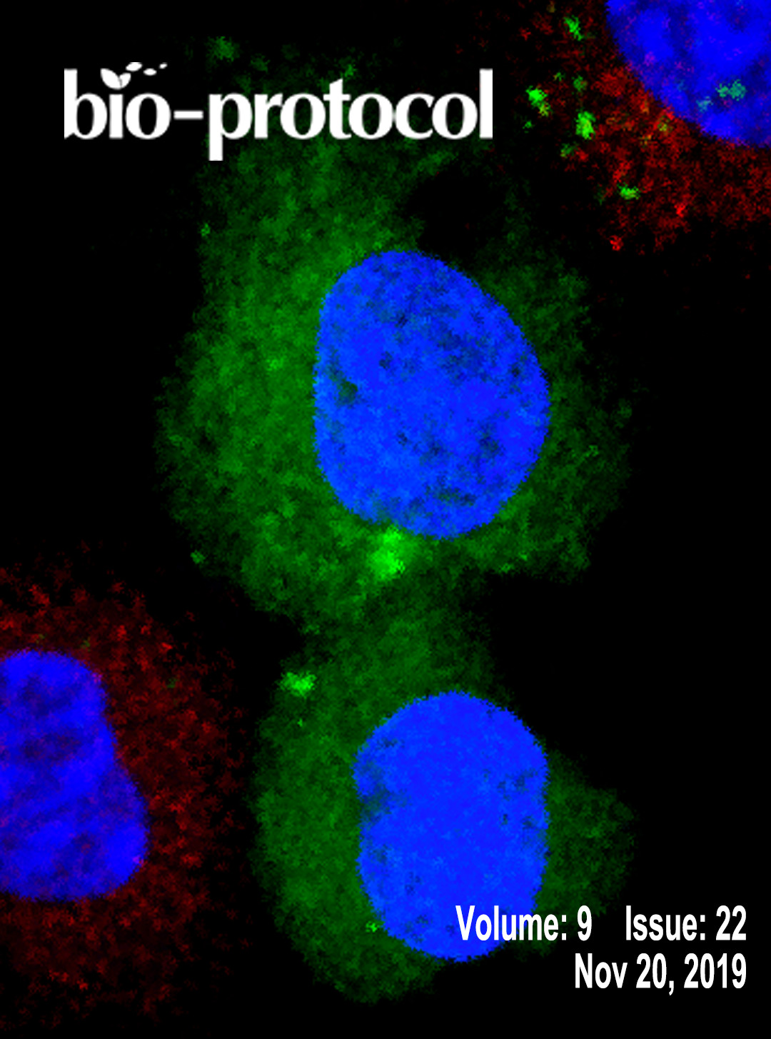 Volume: 9 Issue: 22 —BIO-PROTOCOL