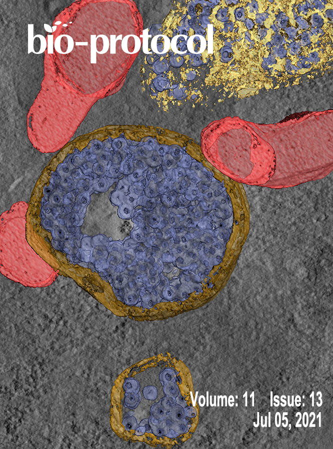 卷册: 11 期号: 13 —BIO-PROTOCOL